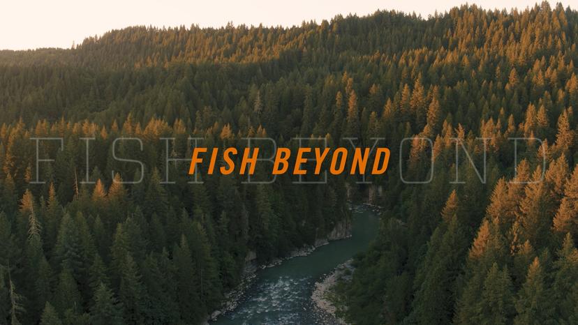 Fish Beyond | Gerber | Swanson Russell