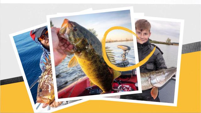 Fish For More | Swanson Russell