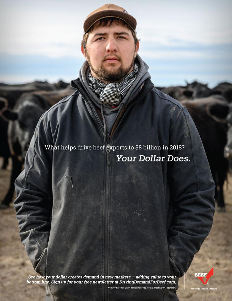 Your Dollar Does | Cattlemen's Beef Board | Swanson Russell